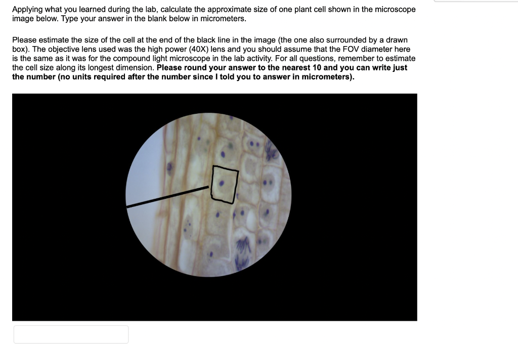 Solved Applying what you learned during the lab, calculate | Chegg.com