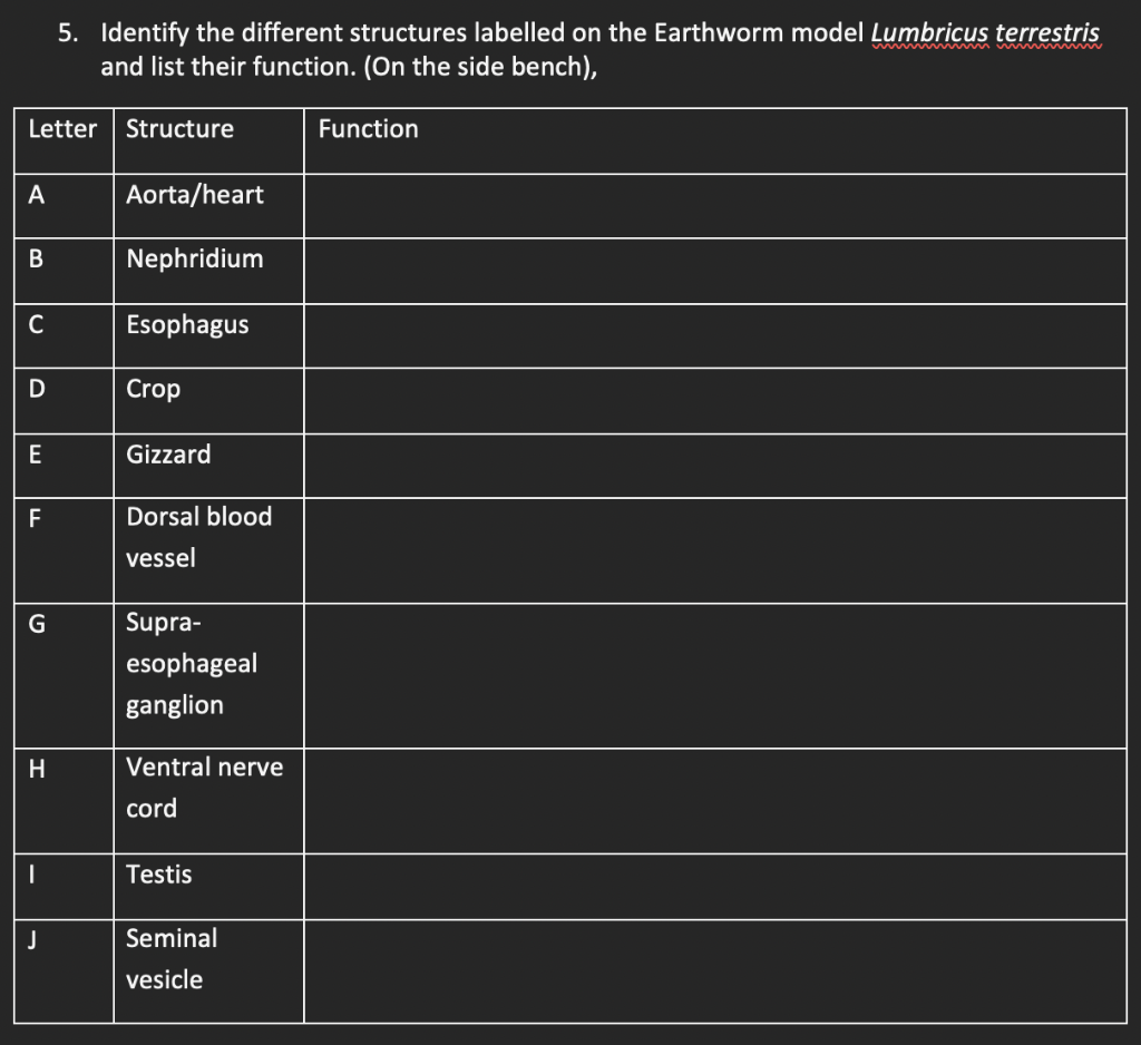 [Solved]: 5. Identify the different structures labelled on