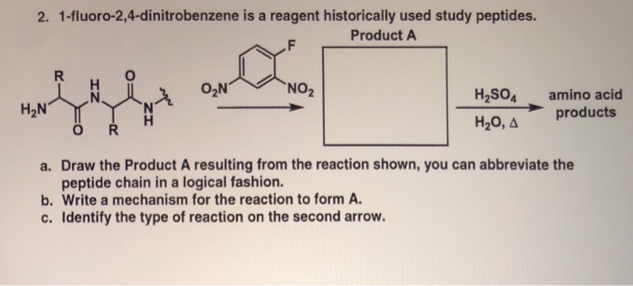 Solved 2. 1-fluoro-2,4-dinitrobenzene is a reagent | Chegg.com