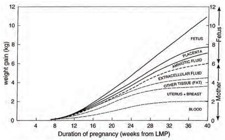 These questions are based on a simple weight | Chegg.com