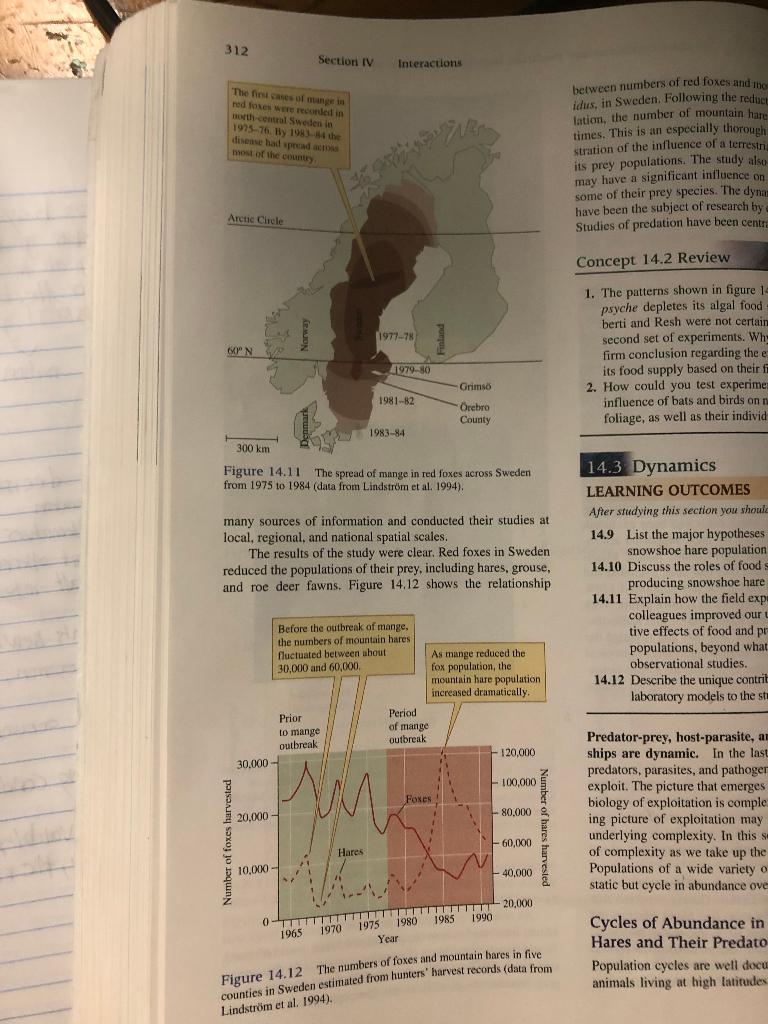 Think about the Lotka-Volterra Predator-Prey | Chegg.com