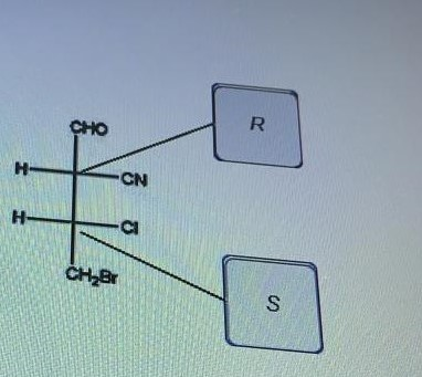 Solved Assign an R or S configuratioN LABEL TO EACH | Chegg.com