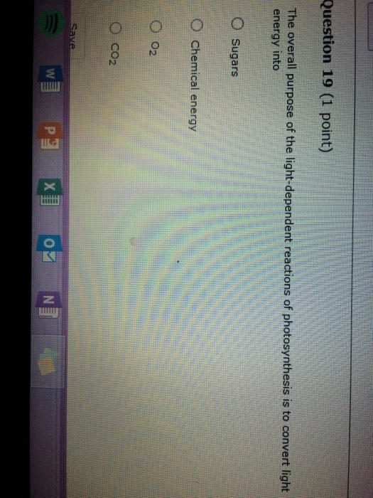 Solved Question 14 (1 point) Which of the following | Chegg.com