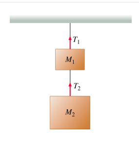 Solved Two blocks with masses M1 and M2 hang one under the | Chegg.com