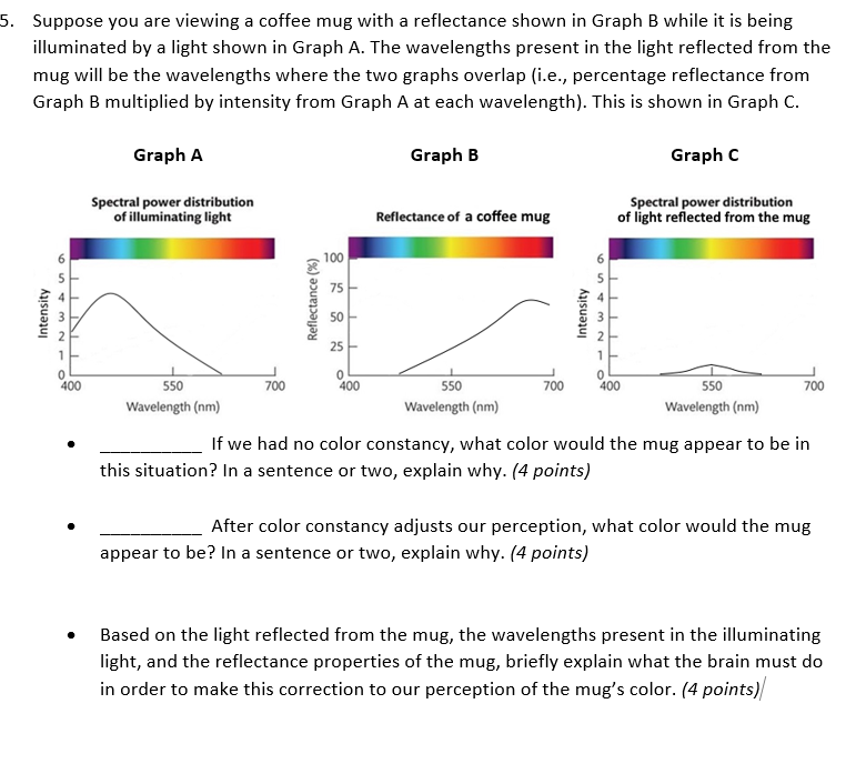 Solved Suppose you are viewing a coffee mug with a | Chegg.com