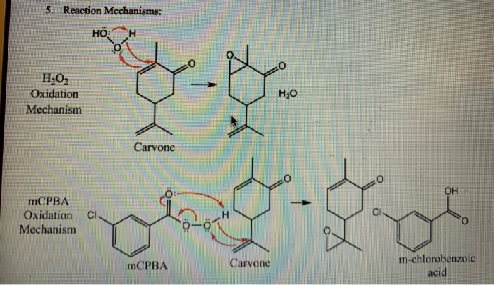 Solved 5. Reaction Mechanisms: H202 Oxidation Mechanism H20 | Chegg.com