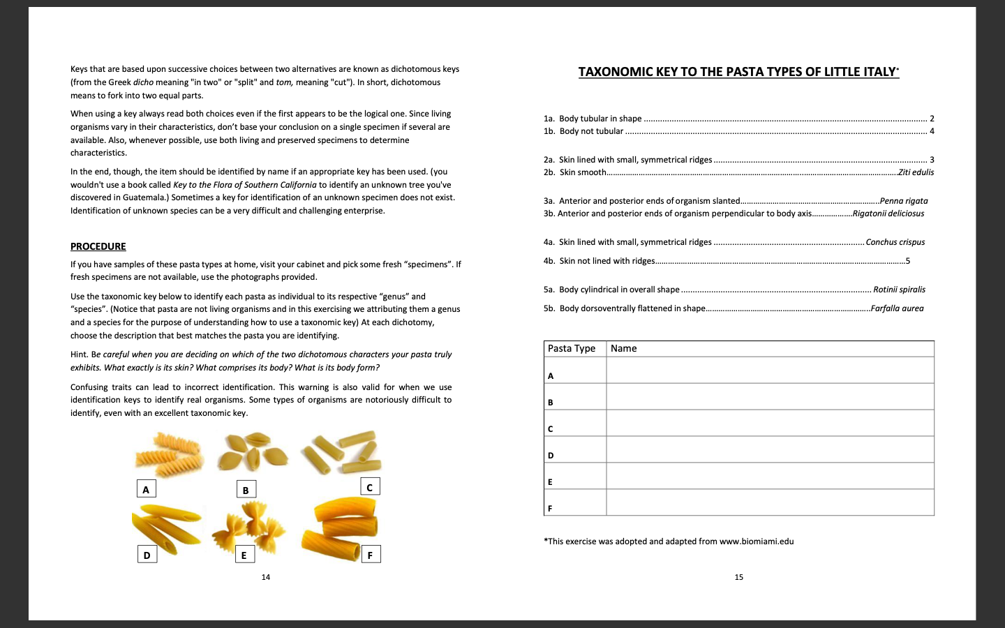Solved TAXONOMIC KEY TO THE PASTA TYPES OF LITTLE ITALY Keys | Chegg.com