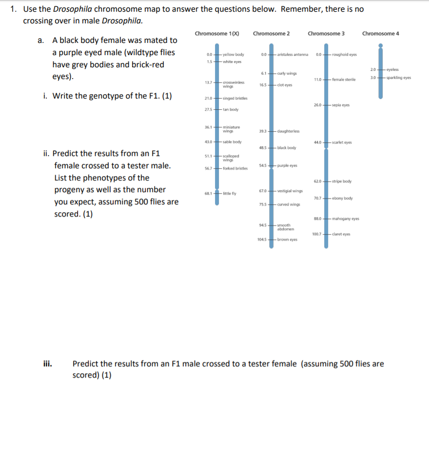 Solved This is a Biology 207 (Genetics) Question, its long | Chegg.com