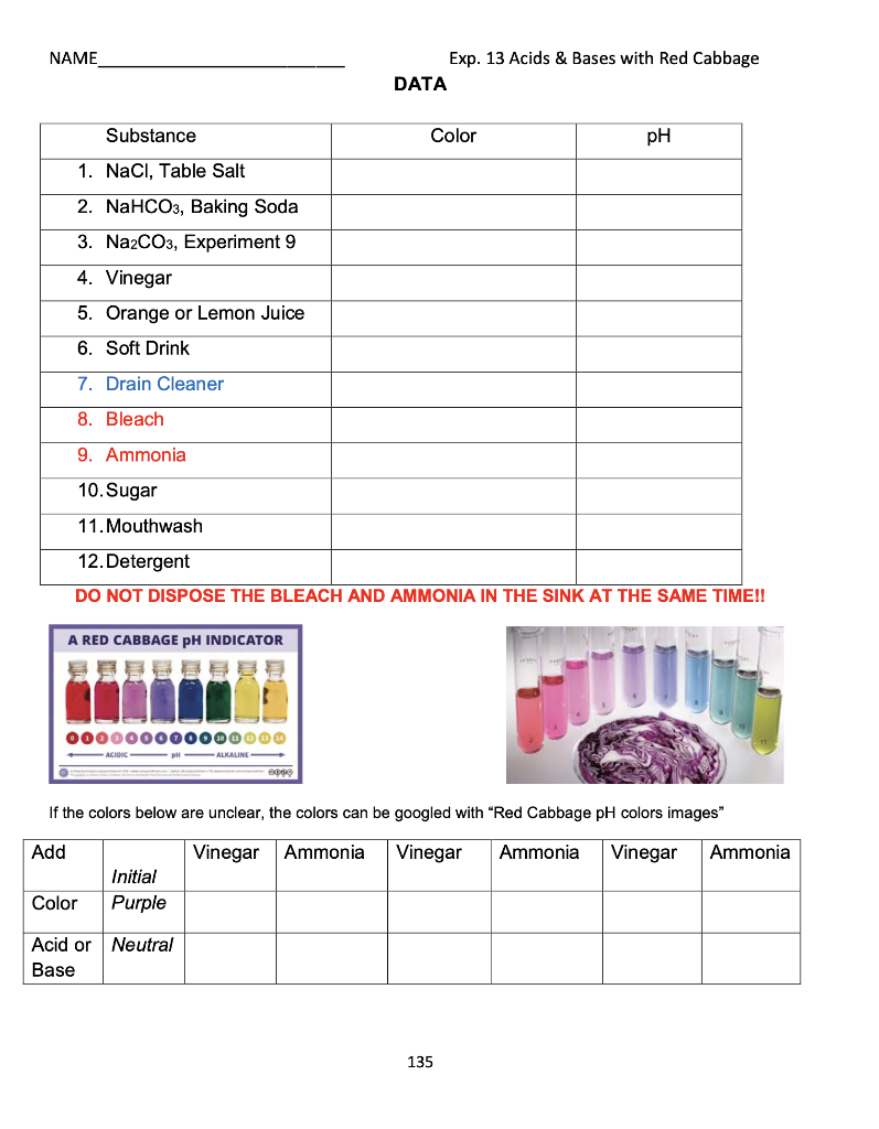Solved PROCEDURE MAKING THE RED CABBAGE INDICATOR 1. Take a | Chegg.com