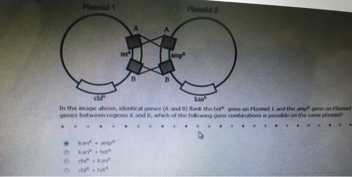 Solved In the image above, identical (A and t) the tet^R | Chegg.com