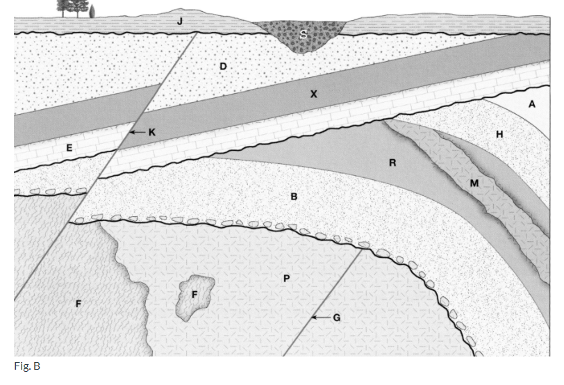 Solved Using figure B, list the sequence of events | Chegg.com