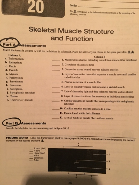 Solved 20 Section The A comegonds to the indicated ouomeo) | Chegg.com