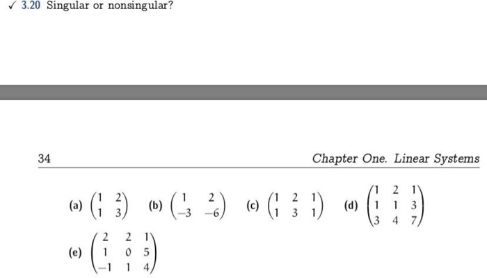 Solved 3.20 Singular or nonsingular? 34 Chapter One. Linear | Chegg.com