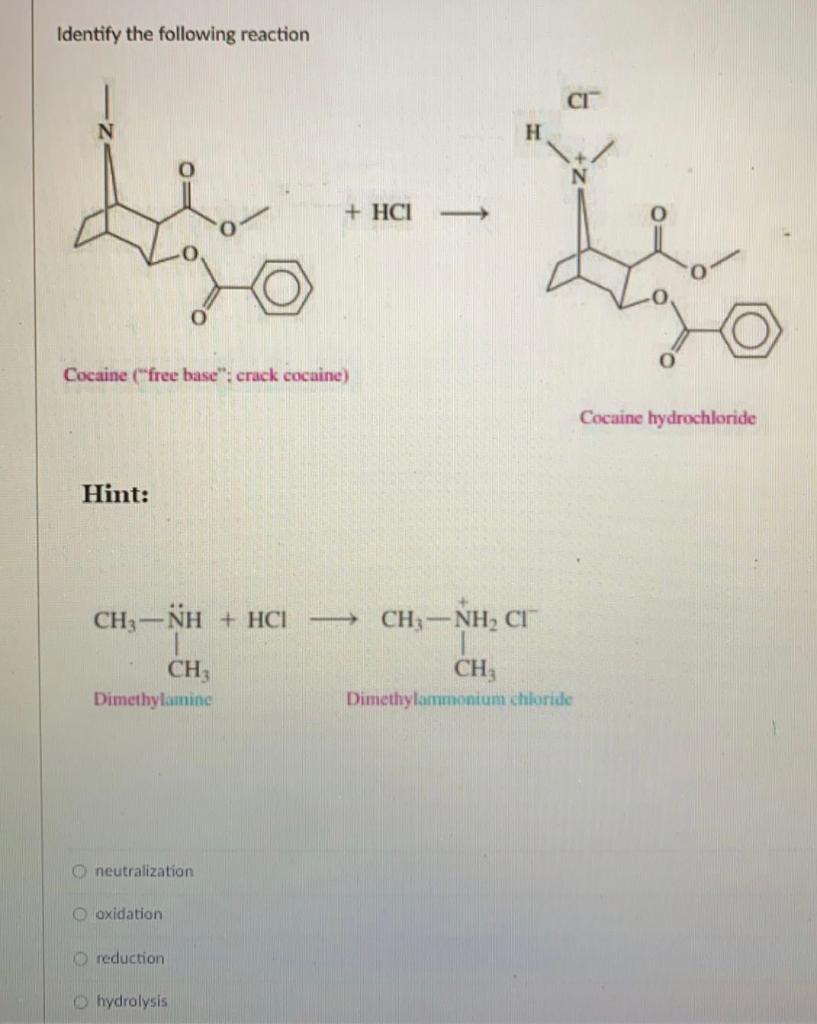 Solved Identify the following reaction +HCl Cocaine ("free | Chegg.com