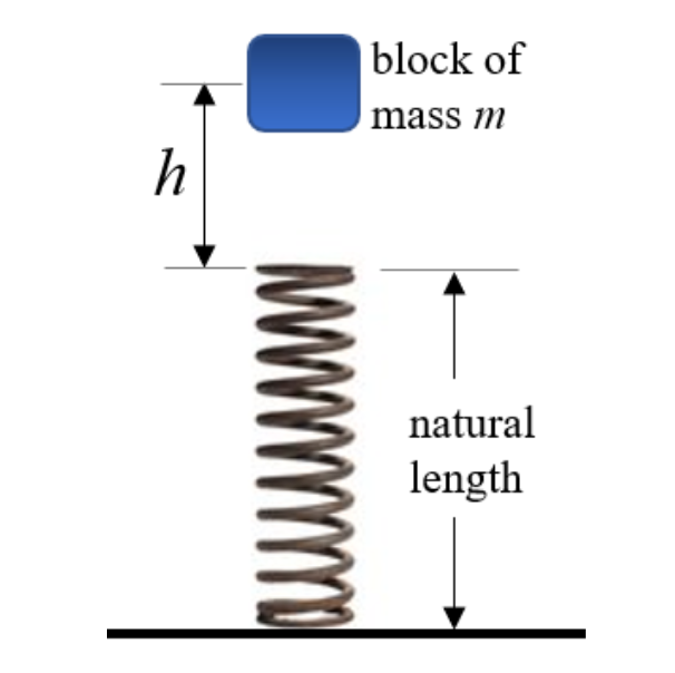 Solved A block of mass m is released onto a vertical spring | Chegg.com