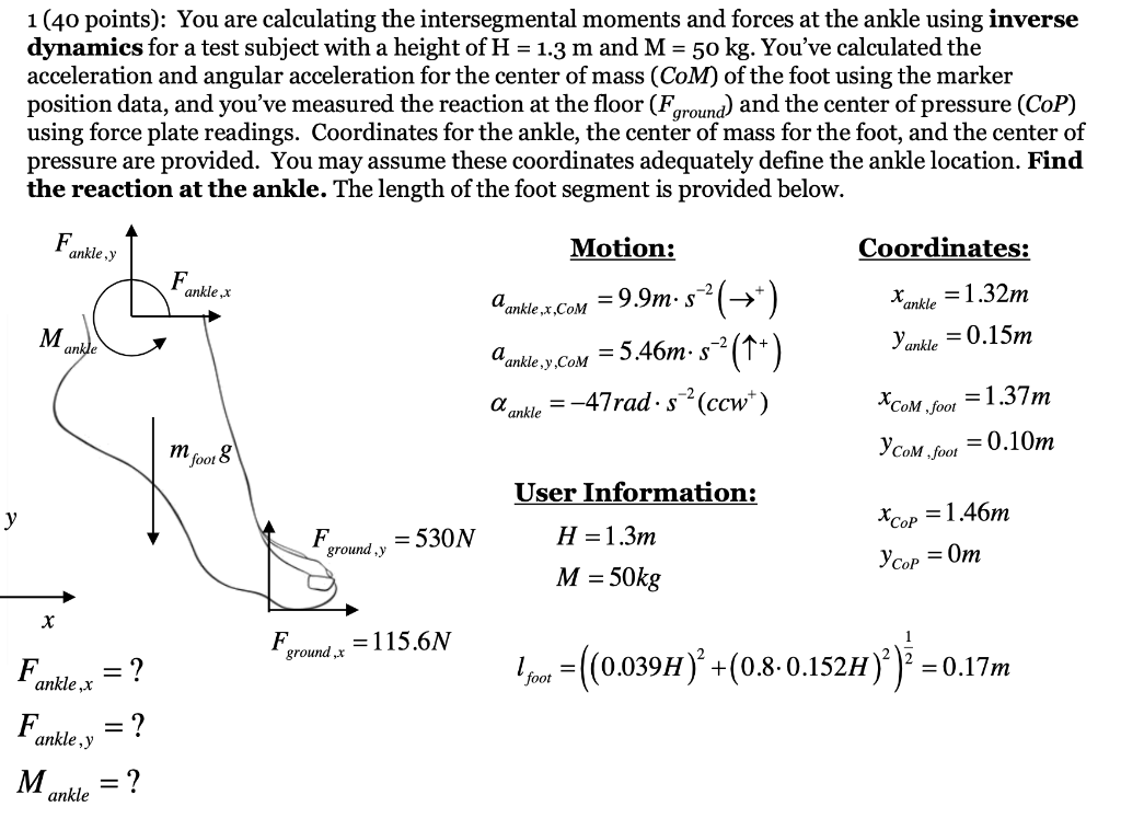 1 (40 points): You are calculating the intersegmental | Chegg.com