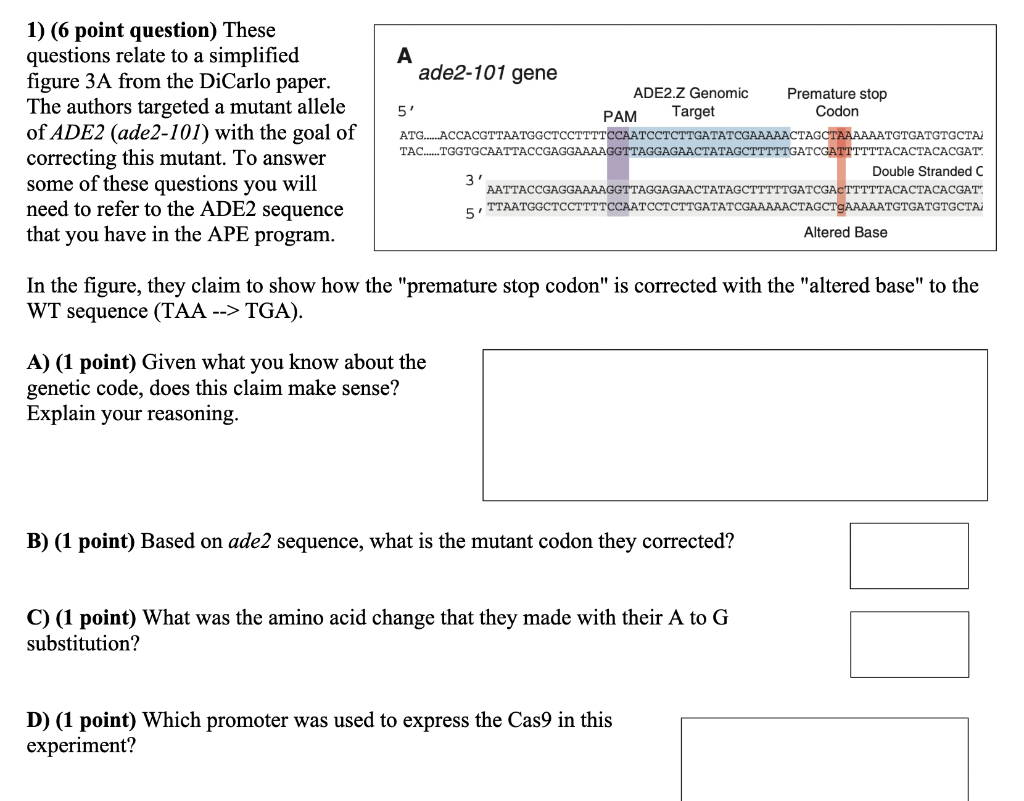 Solved 1) (6 point question) These questions relate to a | Chegg.com