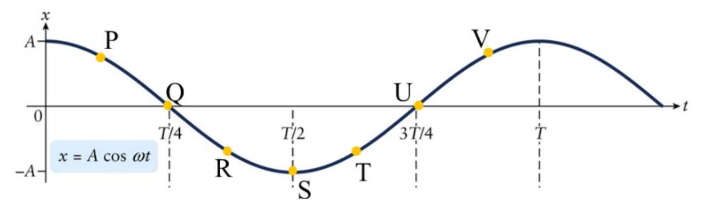 Solved Use the points P through V on the diagram above to | Chegg.com
