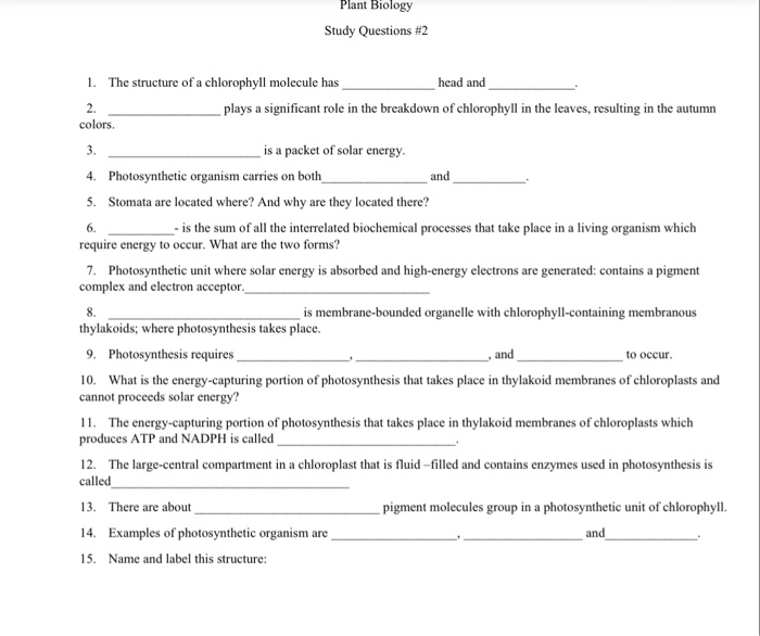Solved Plant Biology Study Questions #2 . The structure of a | Chegg.com