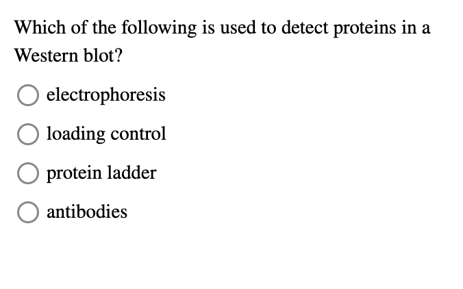 Solved Which of the following is used to detect proteins in | Chegg.com