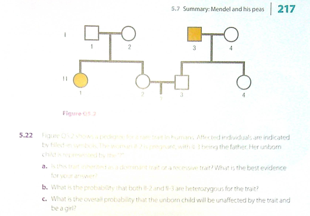 Solved 5.22 Figure Q5.2 shows a pedigree for a rare trait in | Chegg.com