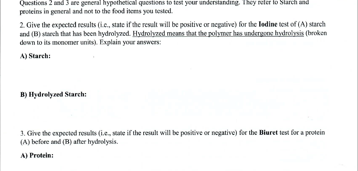Lab 4: Biologically Important Molecules Name: Date: | Chegg.com