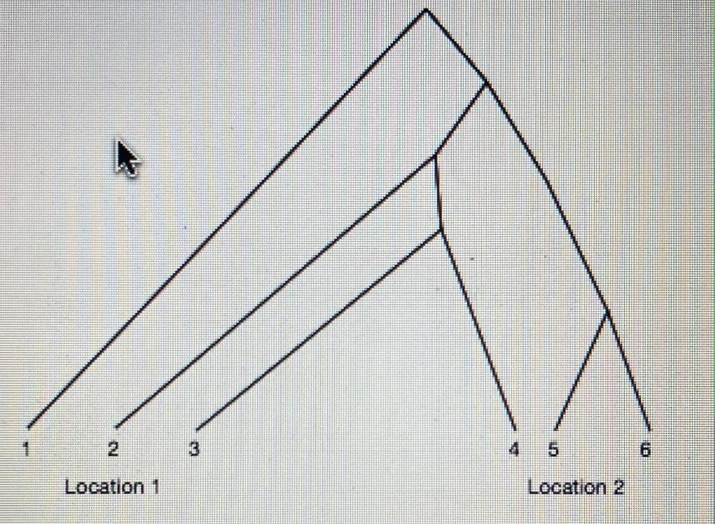 3. (3 points) Calculate FST between the samples taken | Chegg.com