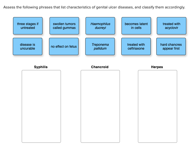 Solved Assess the following phrases that list | Chegg.com