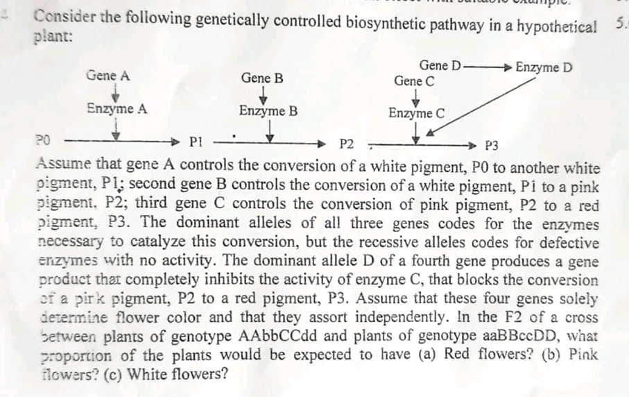 Solved Consider the following genetically controlled | Chegg.com