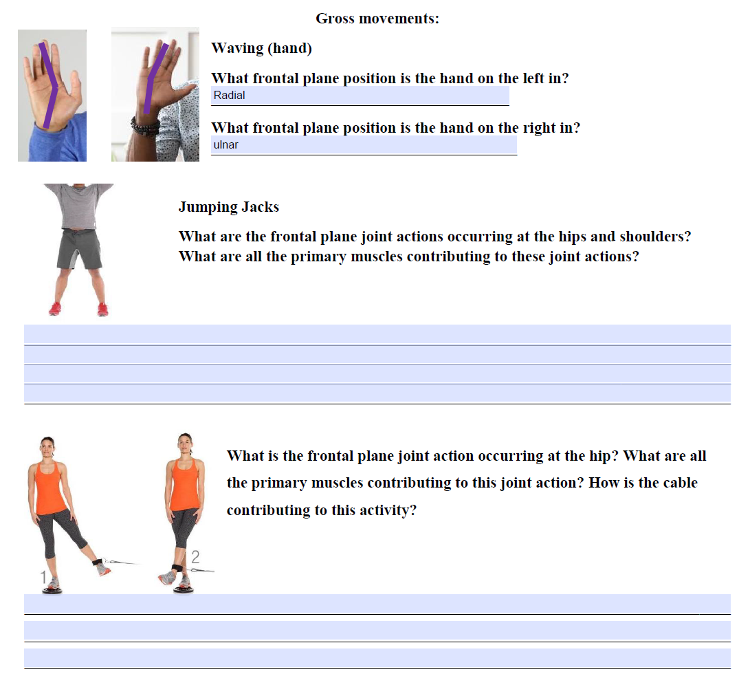 Solved Gross movements:Waving (hand)What frontal plane | Chegg.com