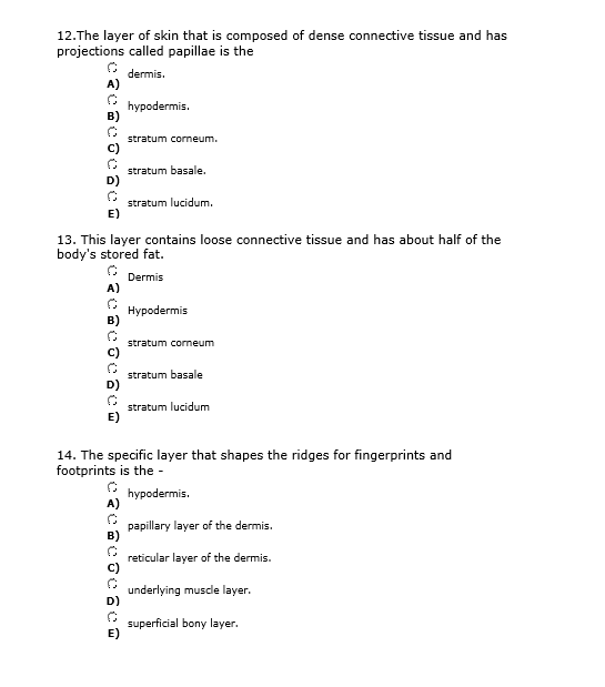 Solved 1. Select the layer below that contains dividing | Chegg.com