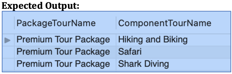 Solved Write a query to display the name of package tours | Chegg.com