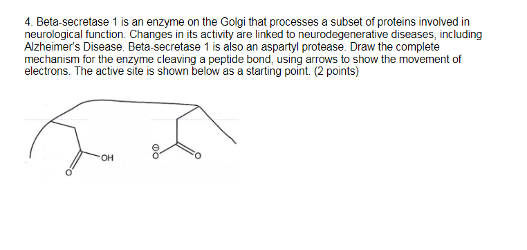 Solved 4. Beta-secretase 1 is an enzyme on the Golgi that | Chegg.com