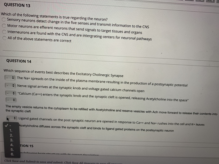 Solved QUESTION 13 Which of the following statements is true | Chegg.com