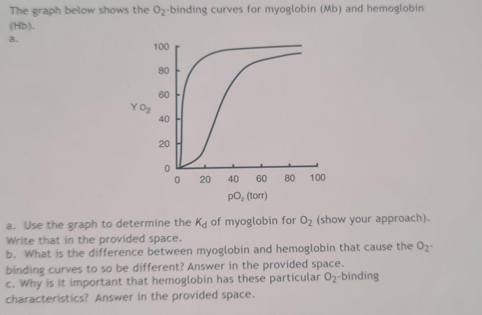 Solved The graph below shows the O2-binding curves for | Chegg.com