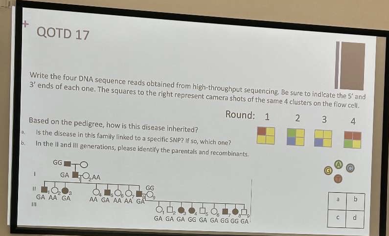 Solved QOTD 171.Write the four DNA sequence reads obtained | Chegg.com