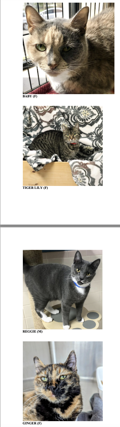 Solved Lab ManualCat Coat GeneticsNote: The information | Chegg.com