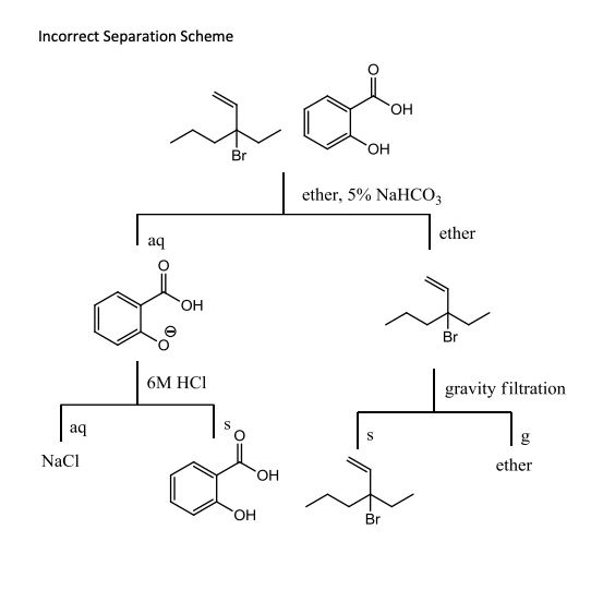 Solved Assignment 5: Separation Scheme Correction On a page | Chegg.com