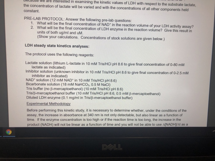 Lab 8 Protocol: Determining Km and Vmax of LDH and | Chegg.com