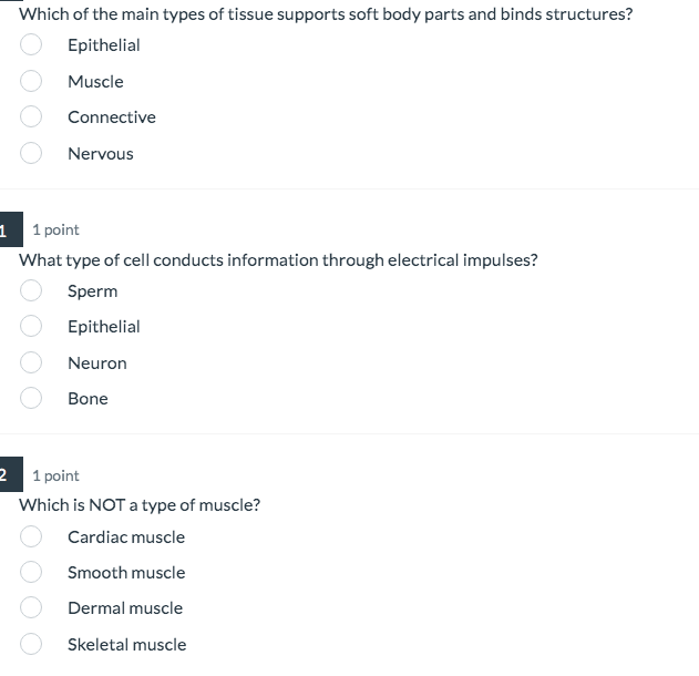 Solved Which of the main types of tissue supports soft body | Chegg.com