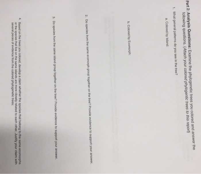 Part 2: Analysis Questions: Examine the phylogenetic | Chegg.com