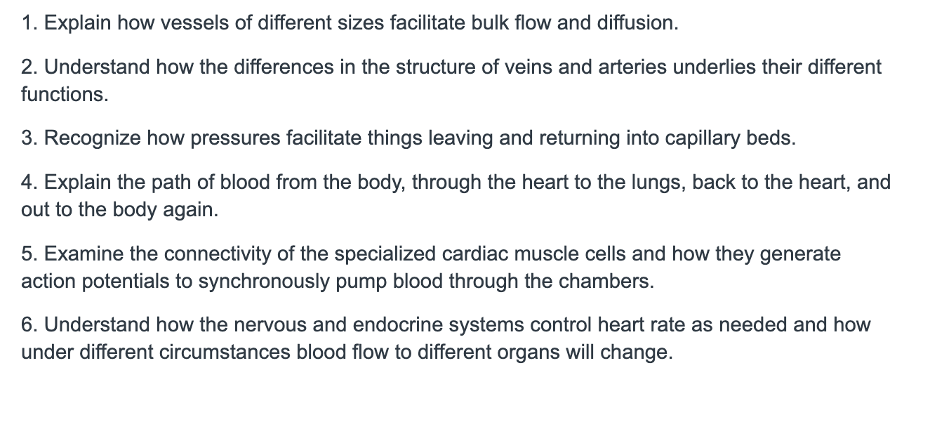 Solved 1. Explain how vessels of different sizes facilitate | Chegg.com