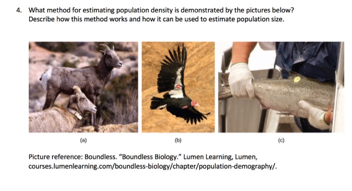 Solved What Method For Estimating Population Density Is