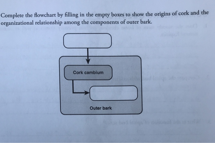 Solved Complete the flowchart by filling in the empty boxes | Chegg.com