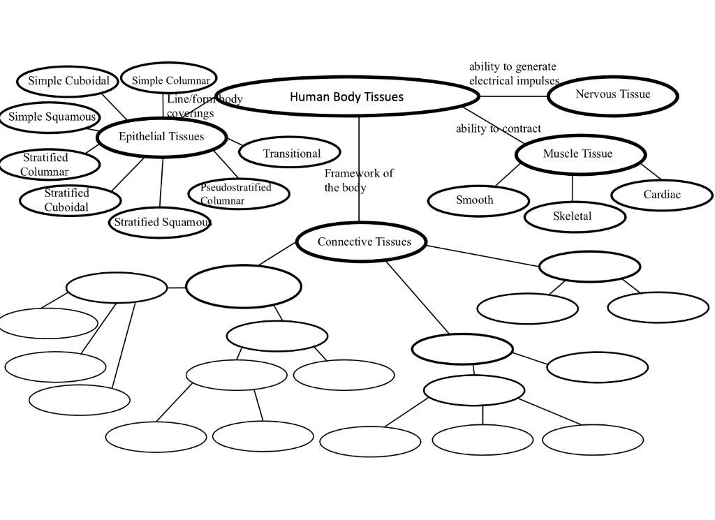 Solved Please finish the rest of the concept map using | Chegg.com