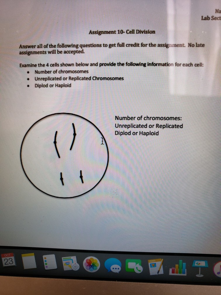 Solved Na Lab Sect Assignment 10-Cell Division Answer all of | Chegg.com