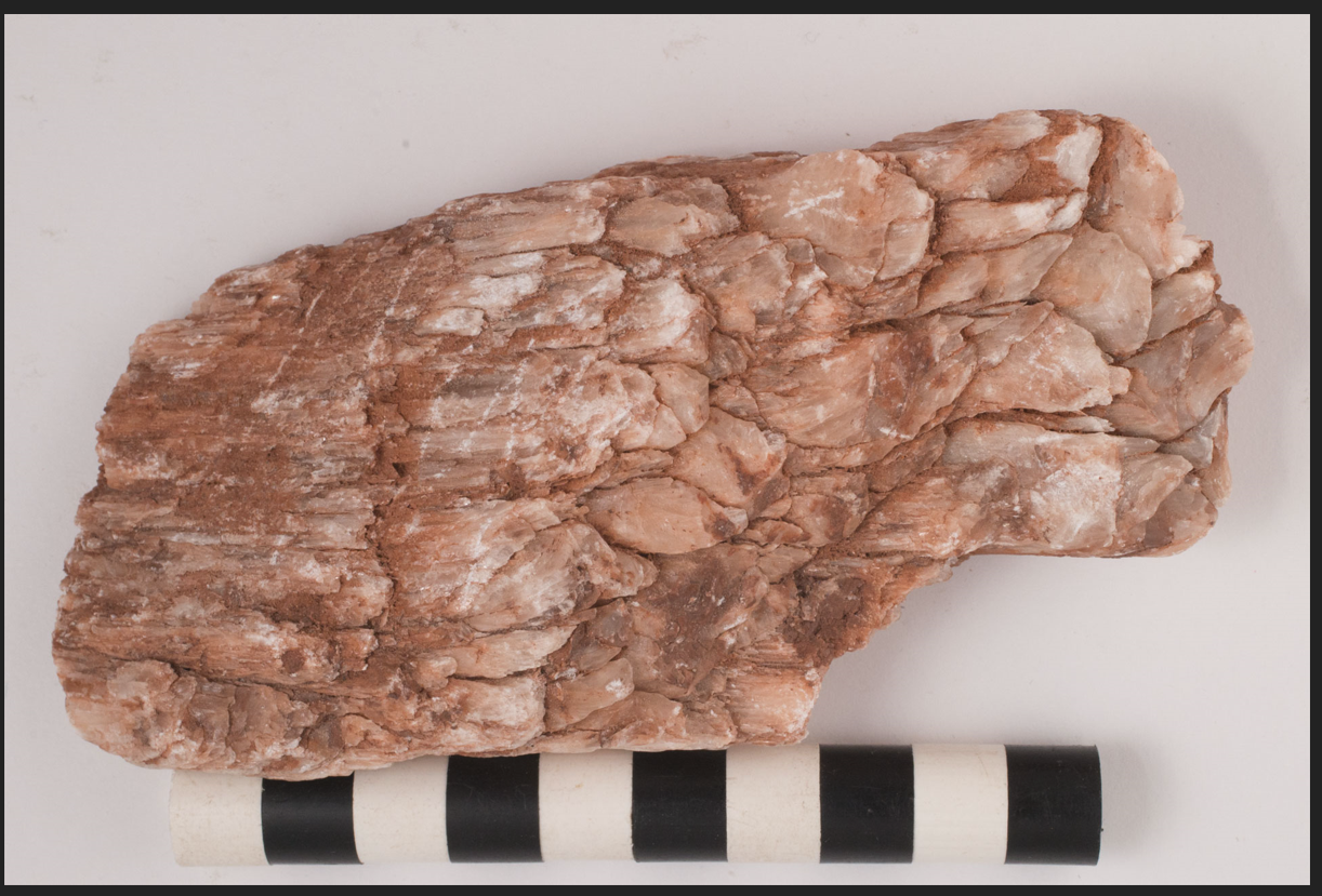Solved Part 3 Other Chemical and Biogenic Sedimentary | Chegg.com