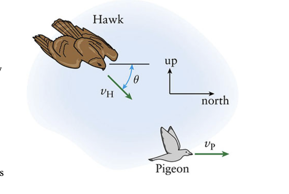 The mass of a pigeon hawk is twice that of the | Chegg.com