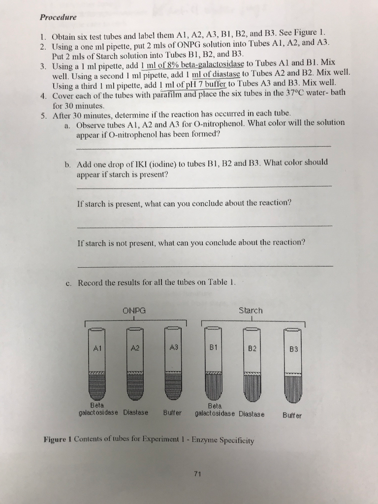 Solved Experiment 1: Enyzyme Specificity Enzymes are | Chegg.com