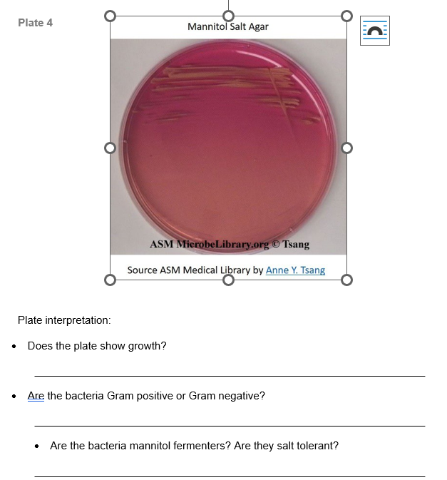 Solved Plate interpretation: Does the plate show growth? Are | Chegg.com